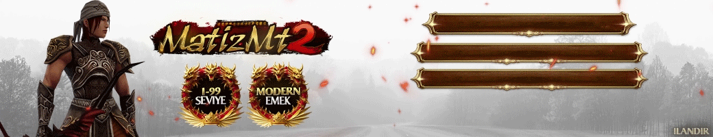 wslk bedensel - Metin2 İtem/Yang, Karakter, Online Oyun Epinleri
